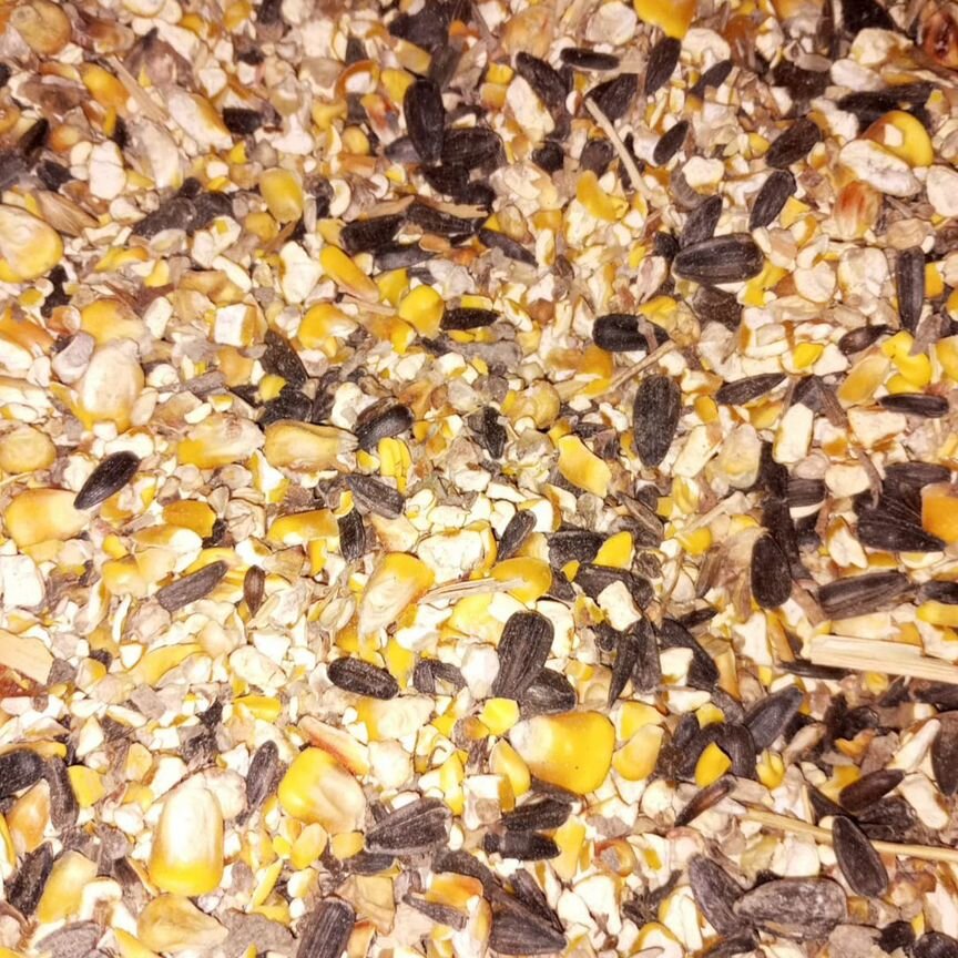 Кукурузные отходы 11руб