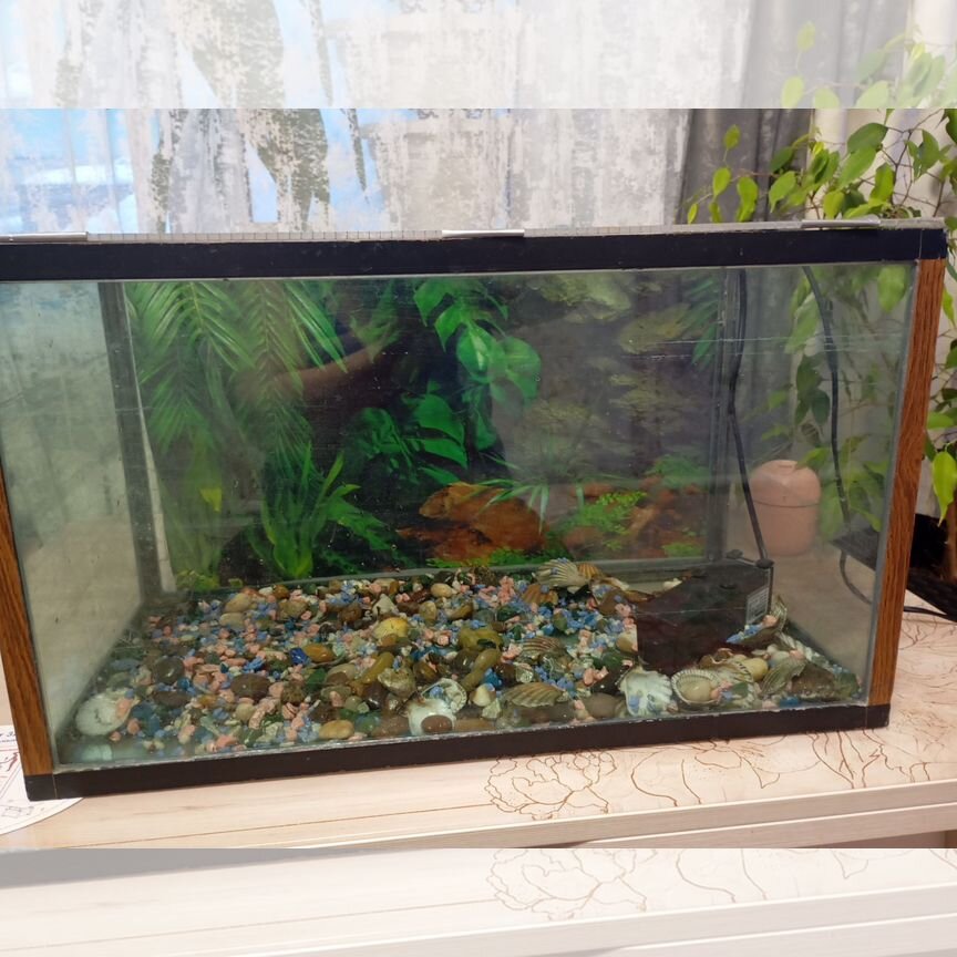 Аквариум