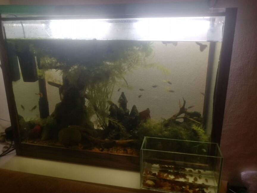 Аквариум с рыбками бу