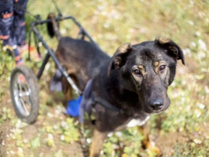 Для особенных