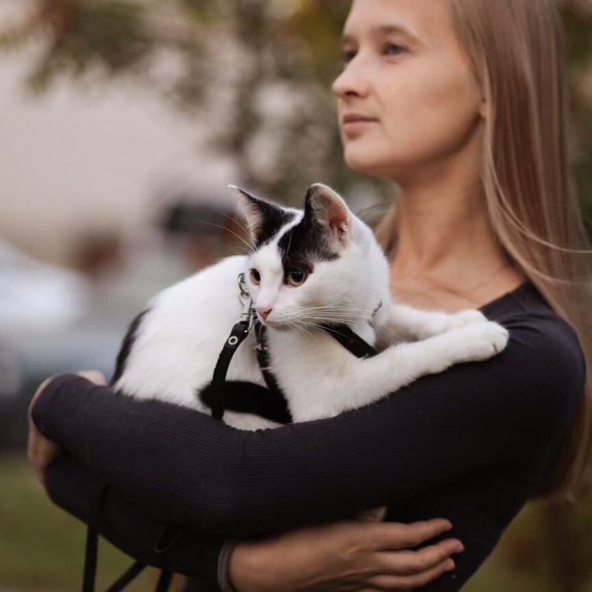 Подрощенный котенок Каюша