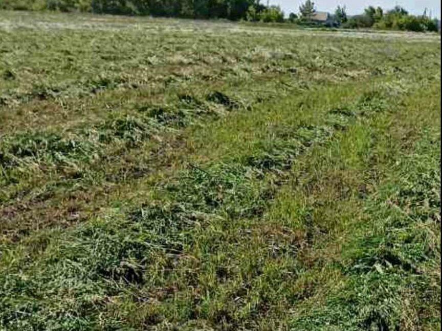 Продам сено в рулонах 2024