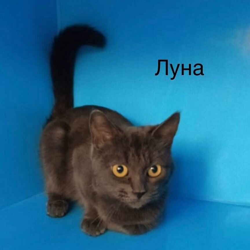 Подарите нам дом.Завтра у нас может не наступить