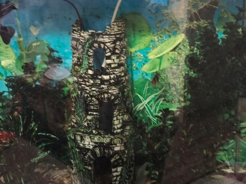 Аквариум с рыбками