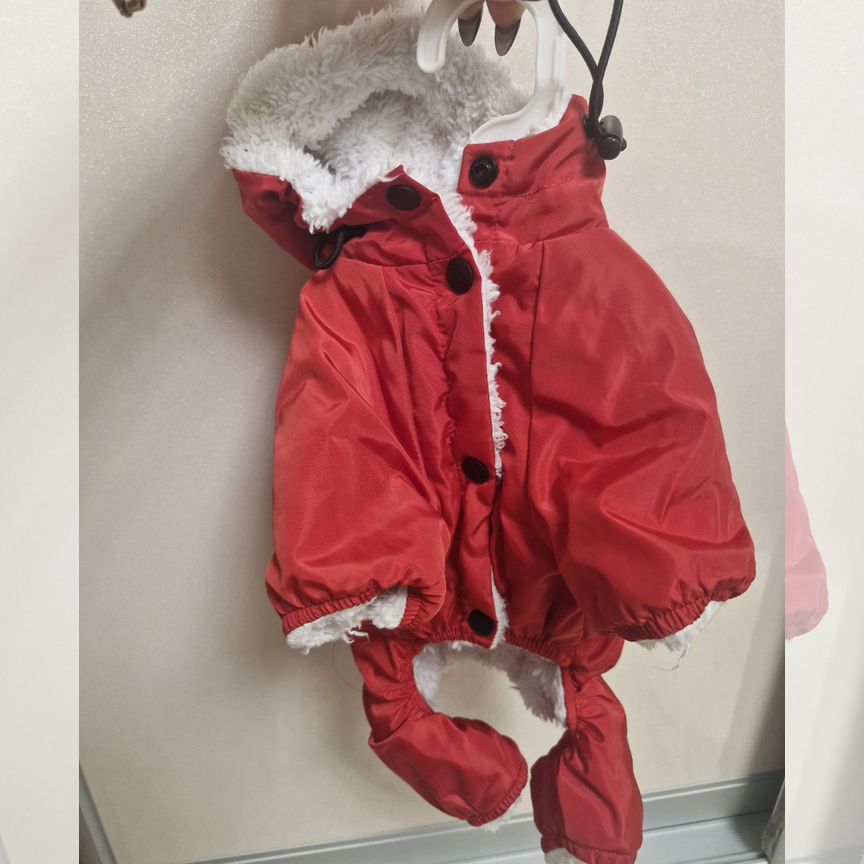 Одежда для маленьких собак xs