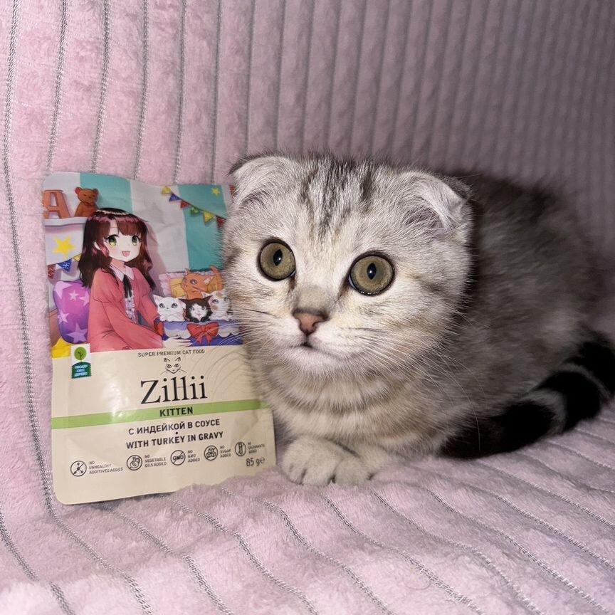 Паучи Zillii для котят