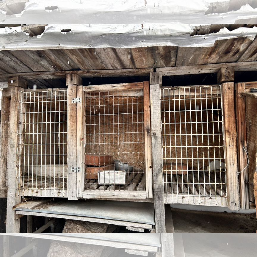 Клетка для кроликов с маточником