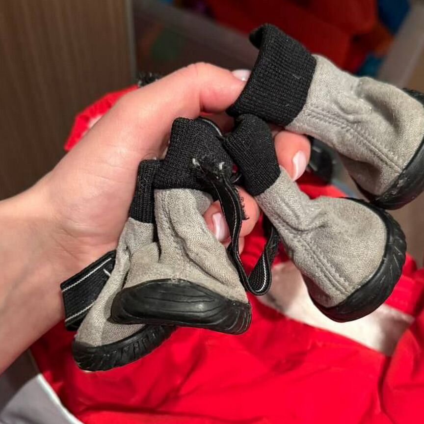 Ботинки для маленьких собак