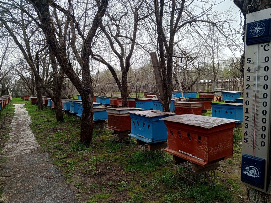 Ульи для пчел новые