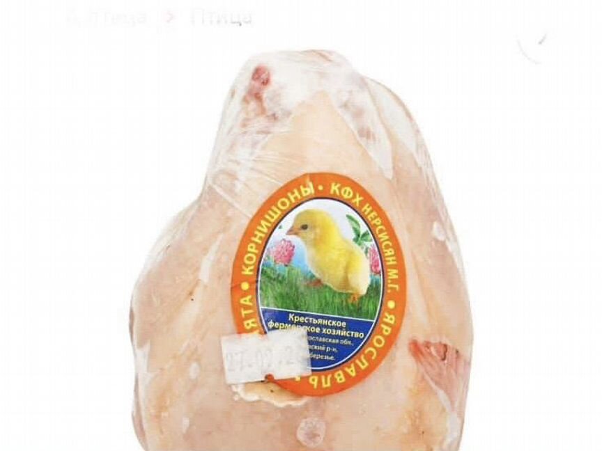 Цыплята куры корнишоны