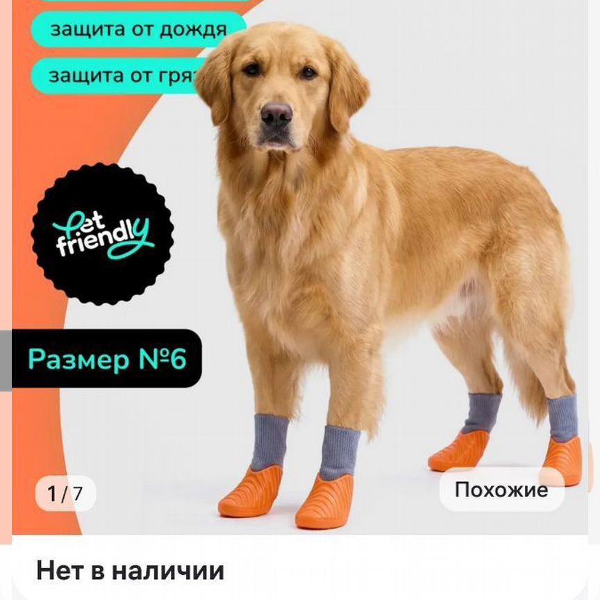 Обувь для собак