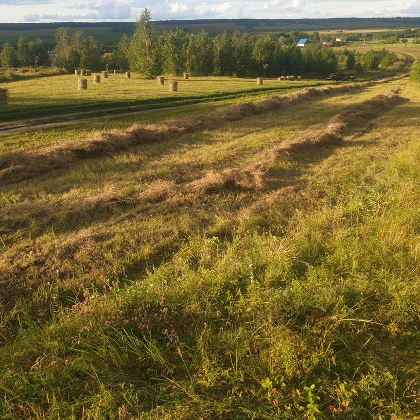 Сено в мини рулонах