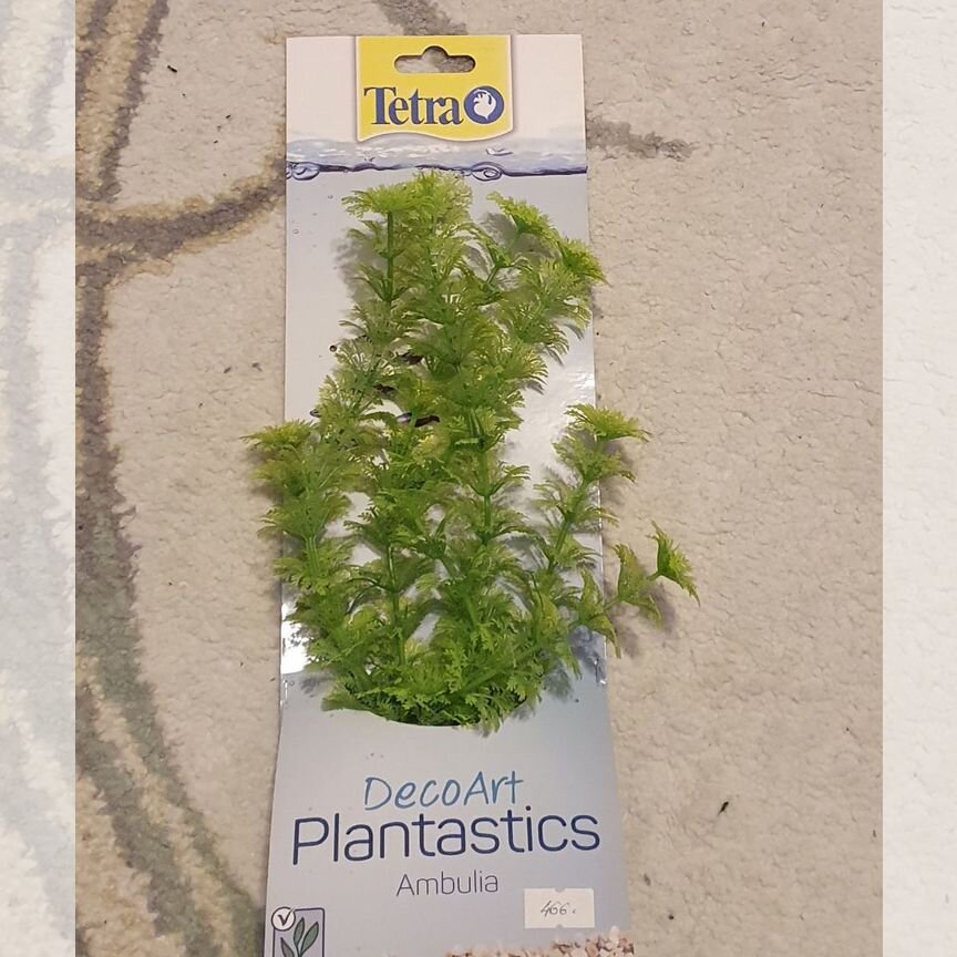 Водоросли для аквариума