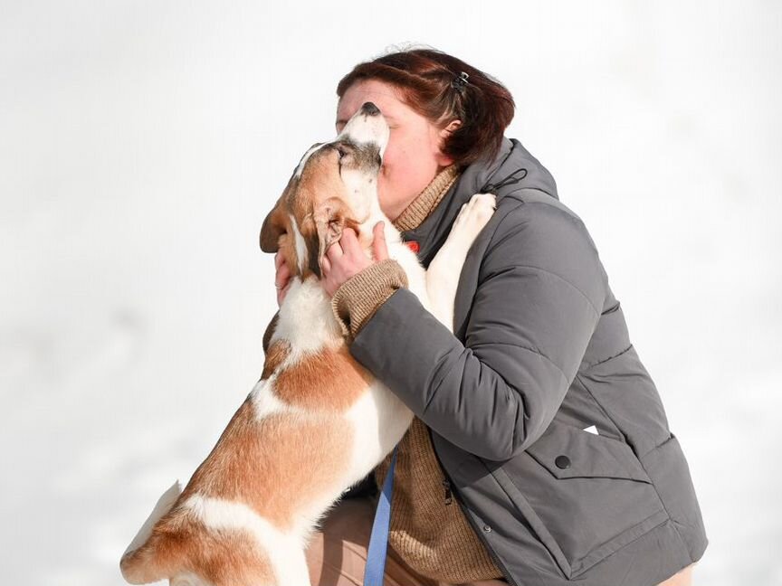 Щенки в добрые руки