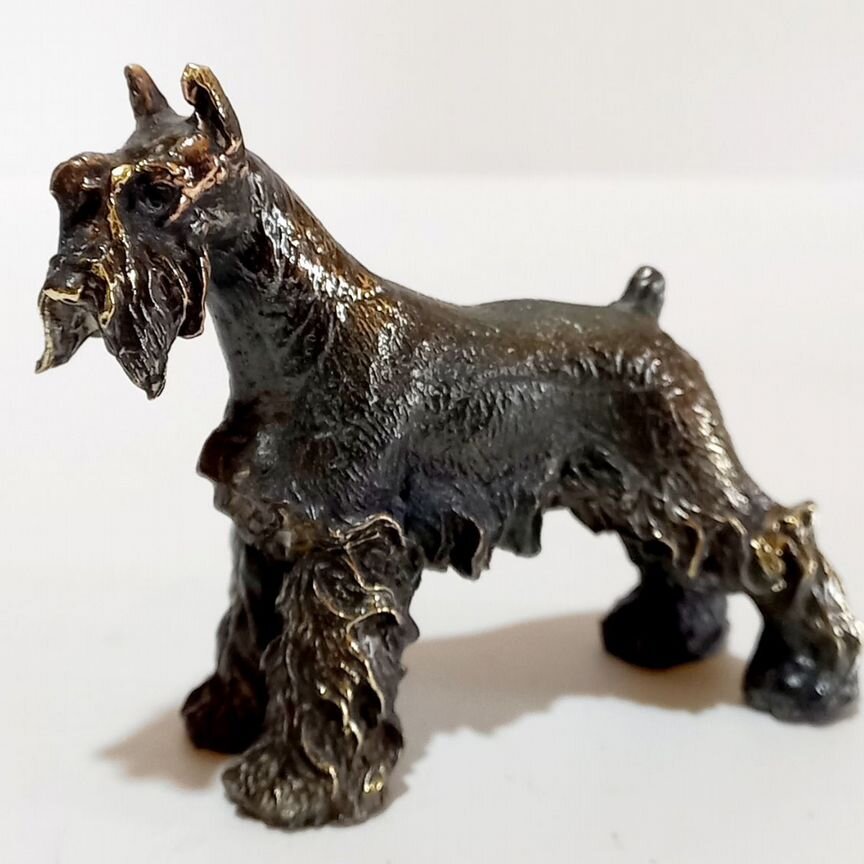 Ризеншнауцер, щенок