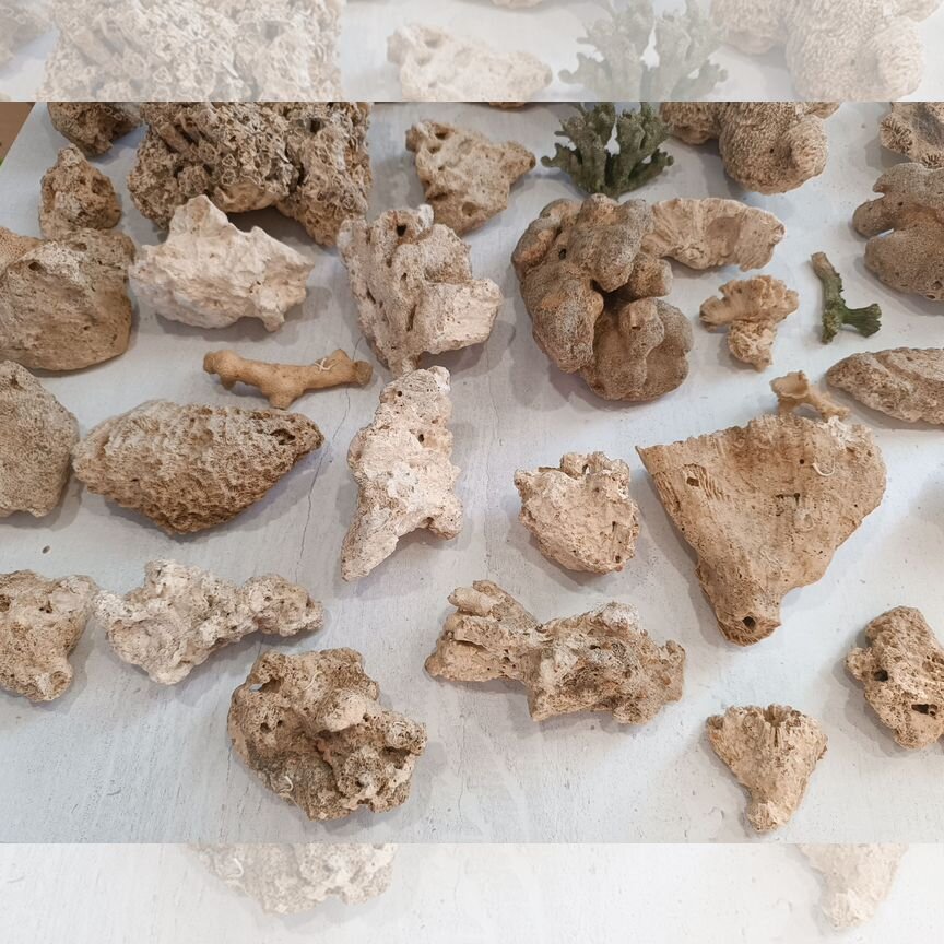 Сухой рифовый камень