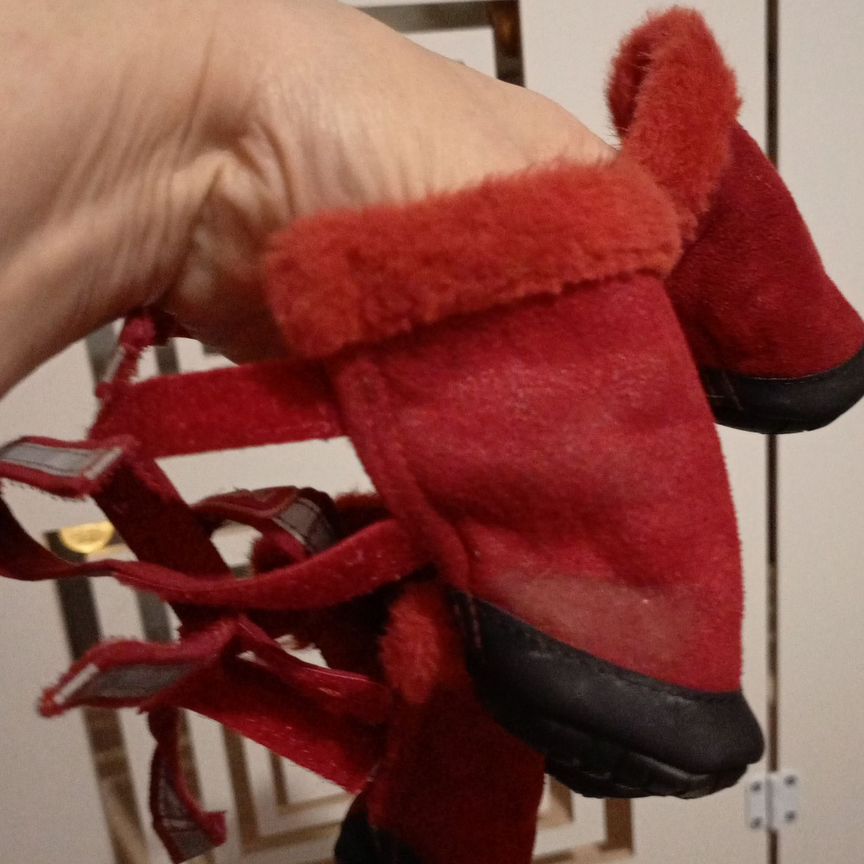 Обувь для маленьких пород собак