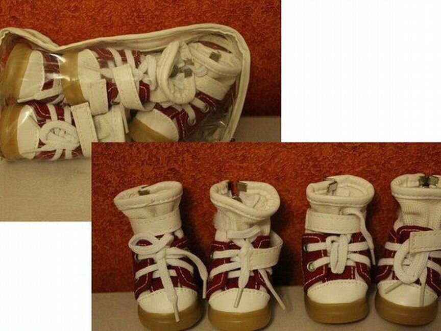 Кеды для собачки