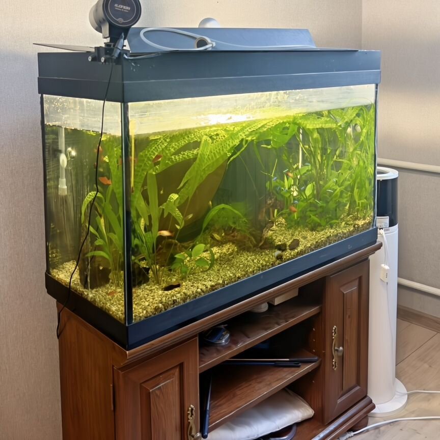 Аквариум с тумбой и оборудованием 160 л