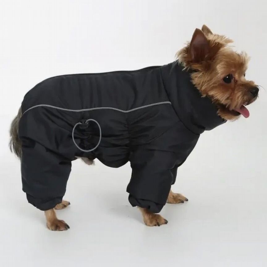 Комбинезон для маленькой собаки xl