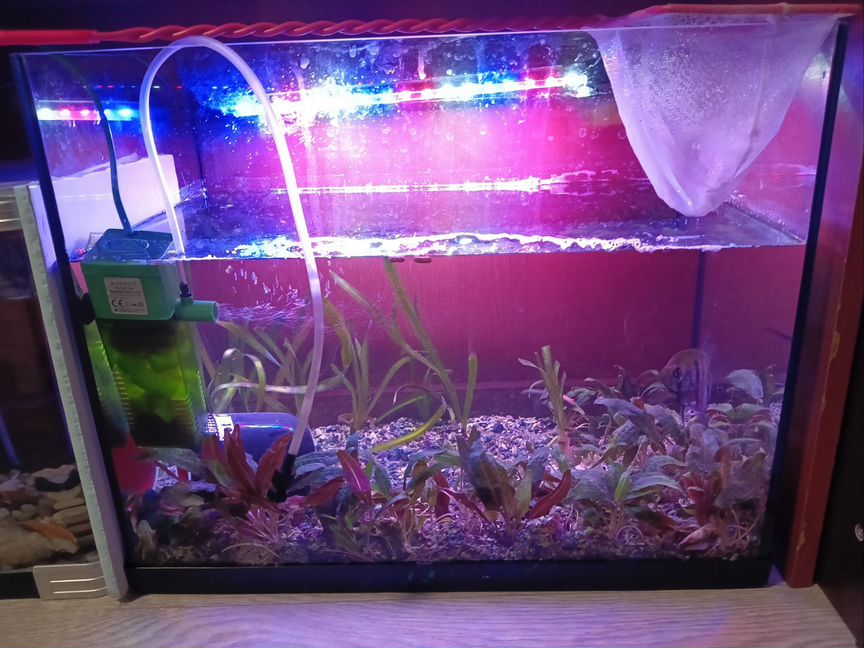 Аквариум 3000