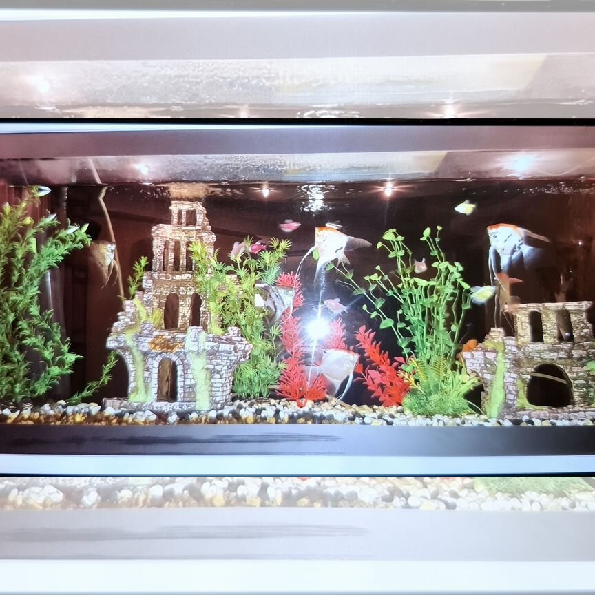 Настенный аквариум