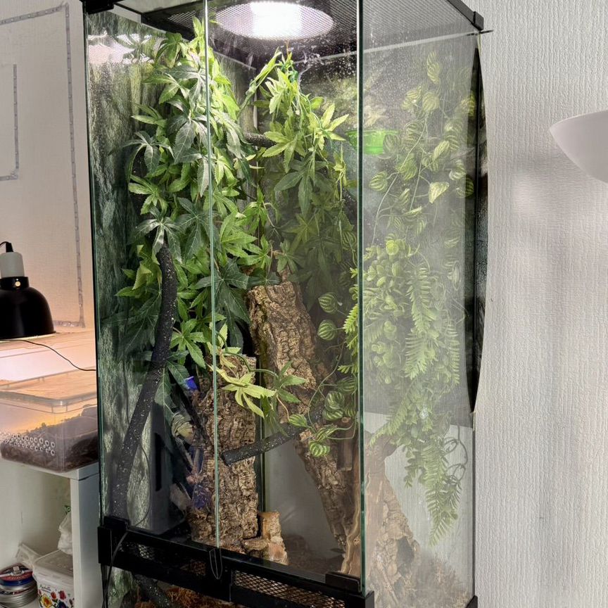 Террариум 40*40*90 без наполнения