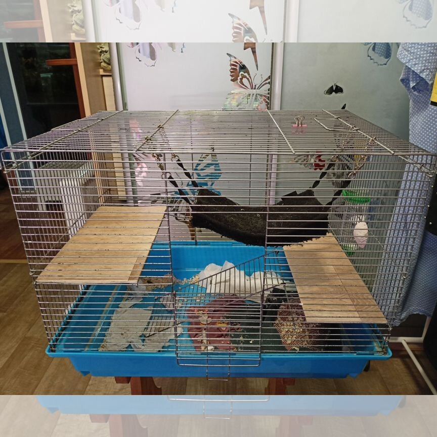 Отдам клетку для грызунов
