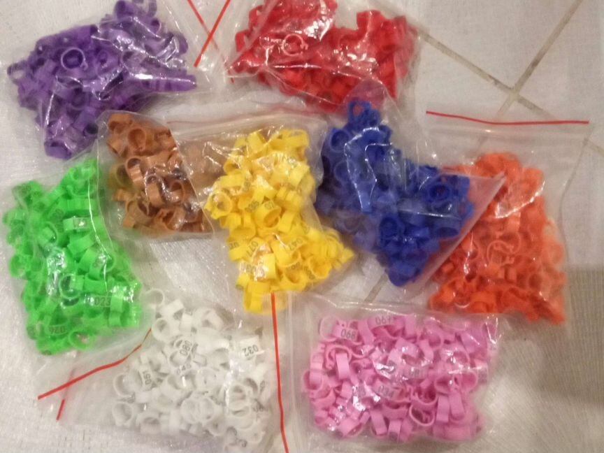 Кольца для голубей