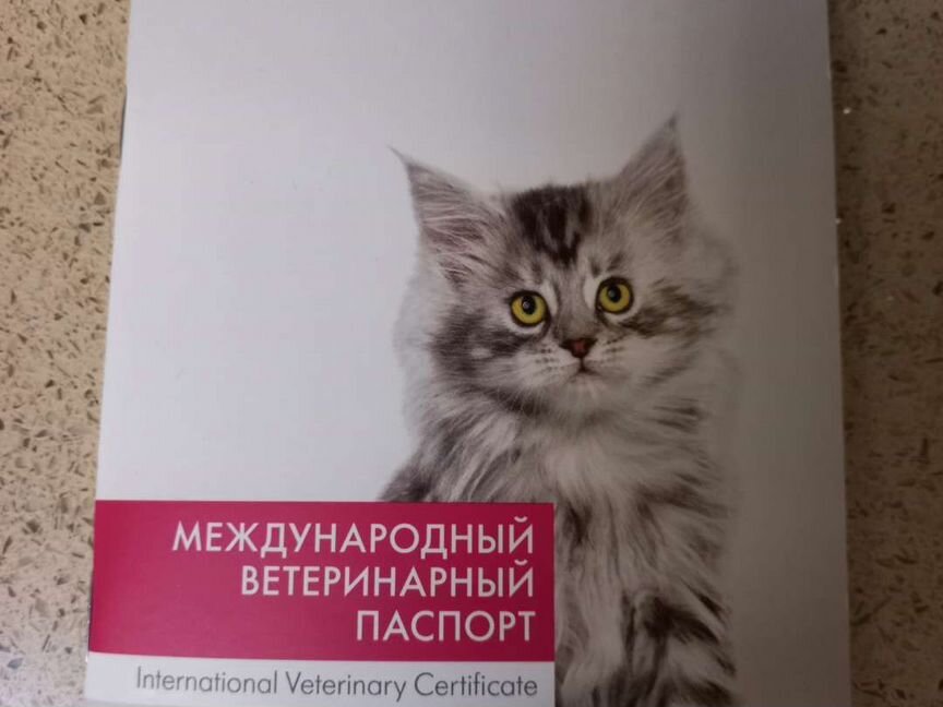 Международный ветеринарный паспорт