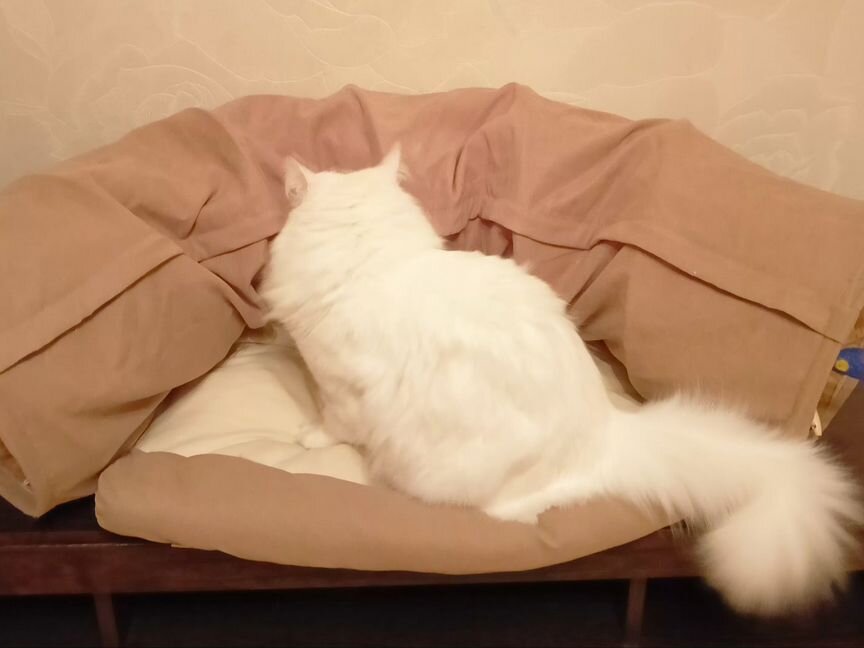 Домик для кошки