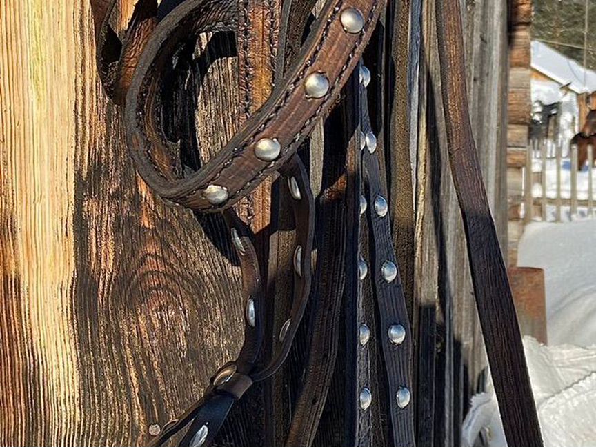 Обмундирование для лошади