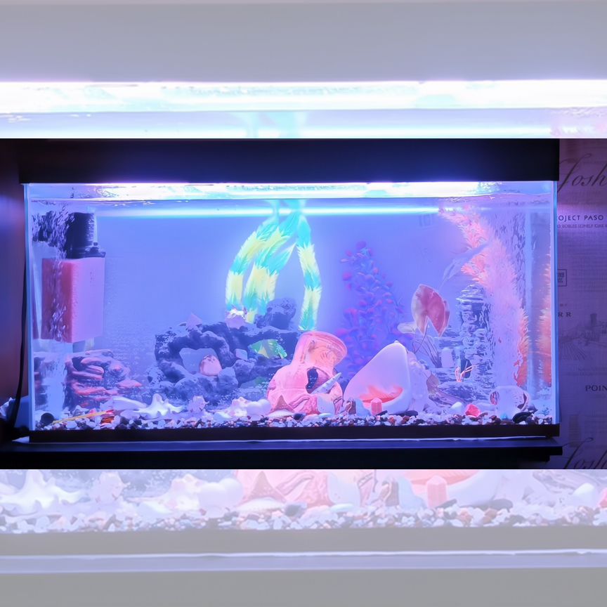 Аквариум с тумбой 200л