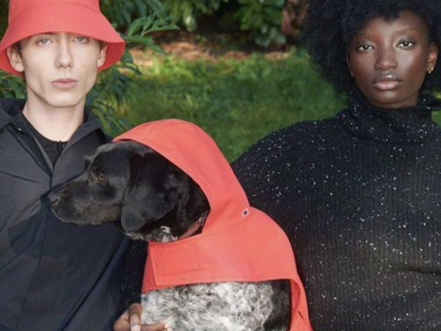 Дождевик для собаки zara новый