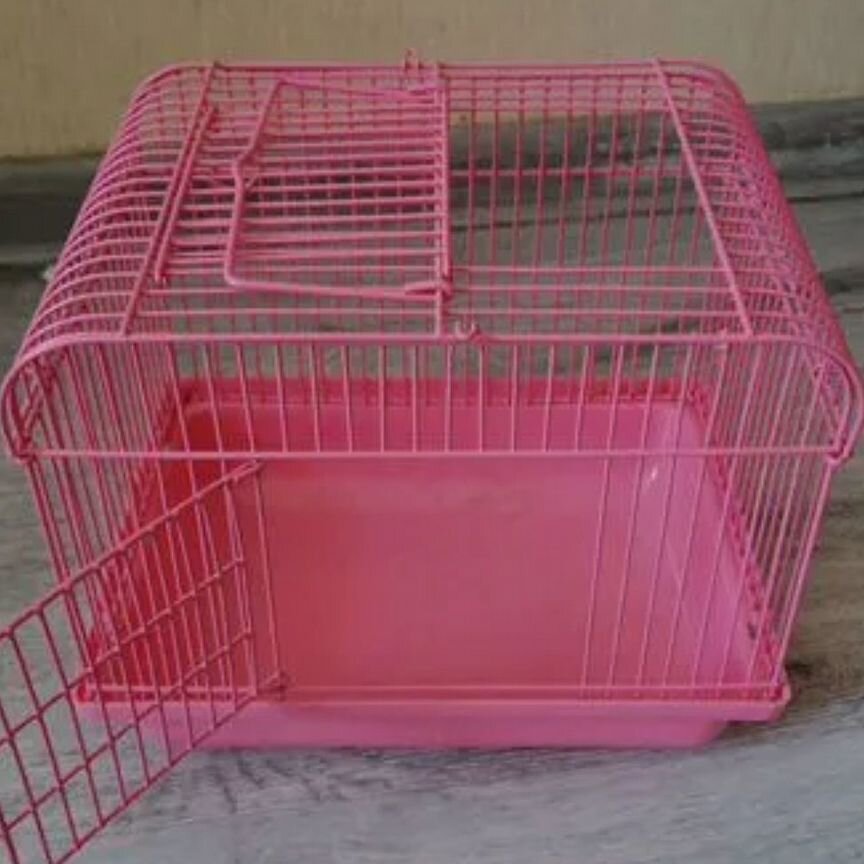 Клетка