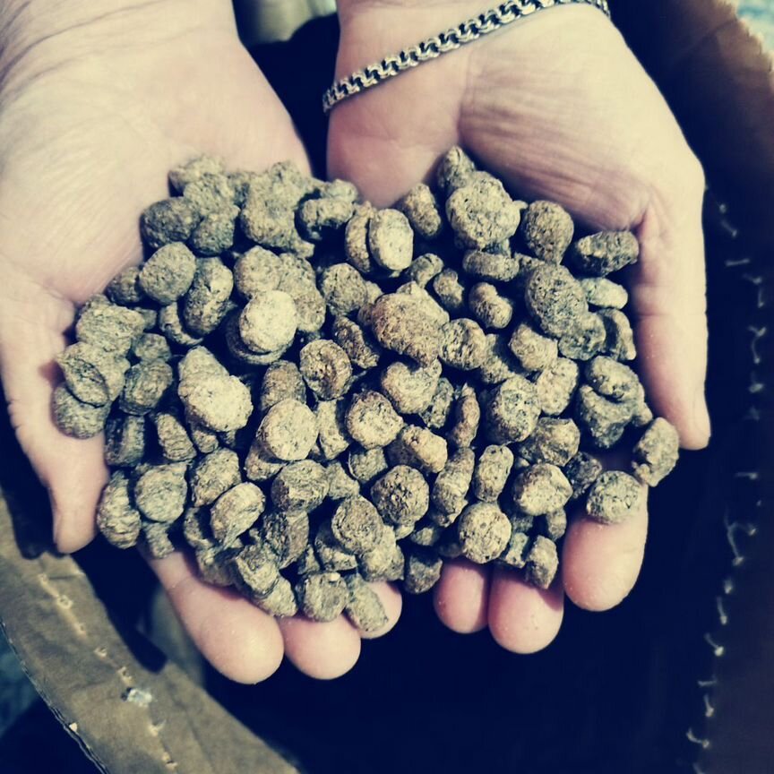 Корм для собак