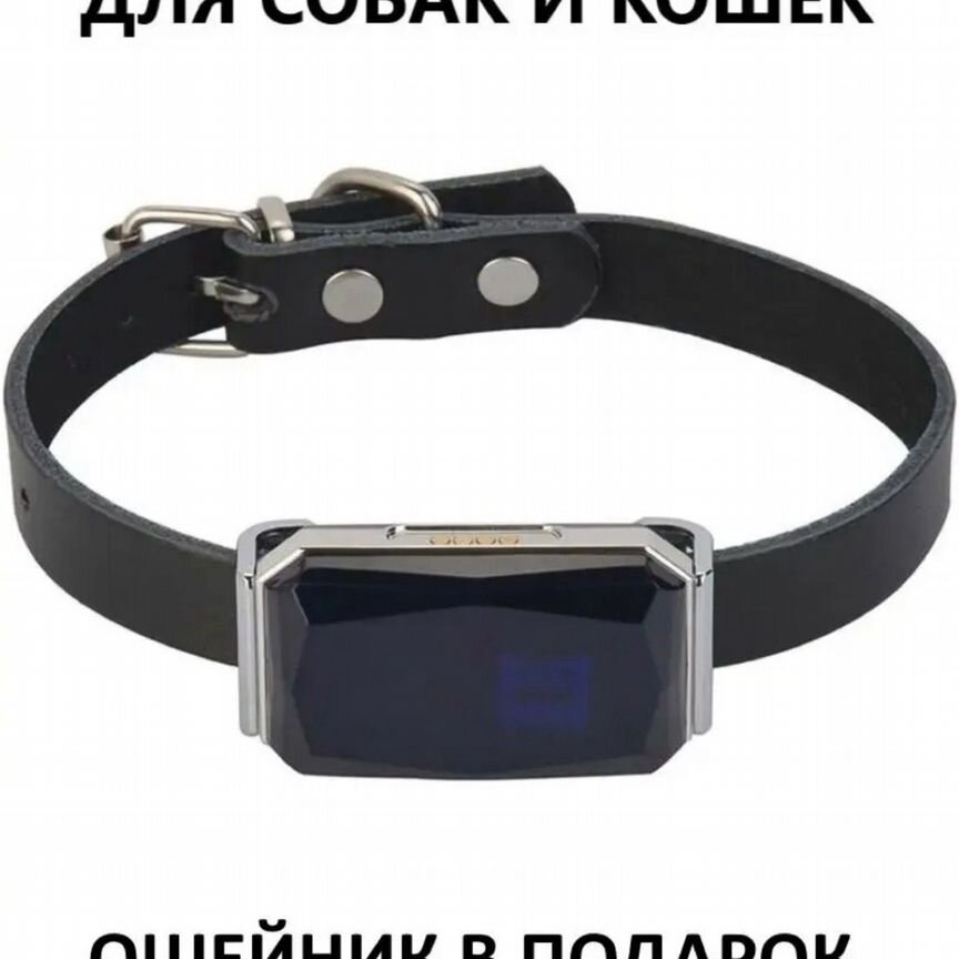 Gps tracker для собак