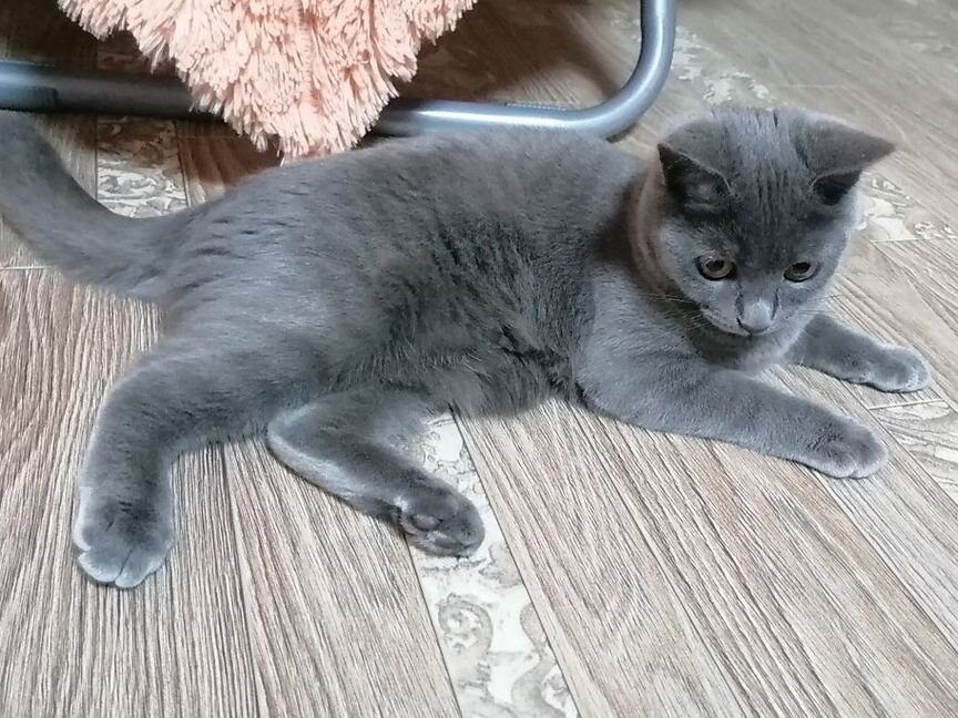 Вязка