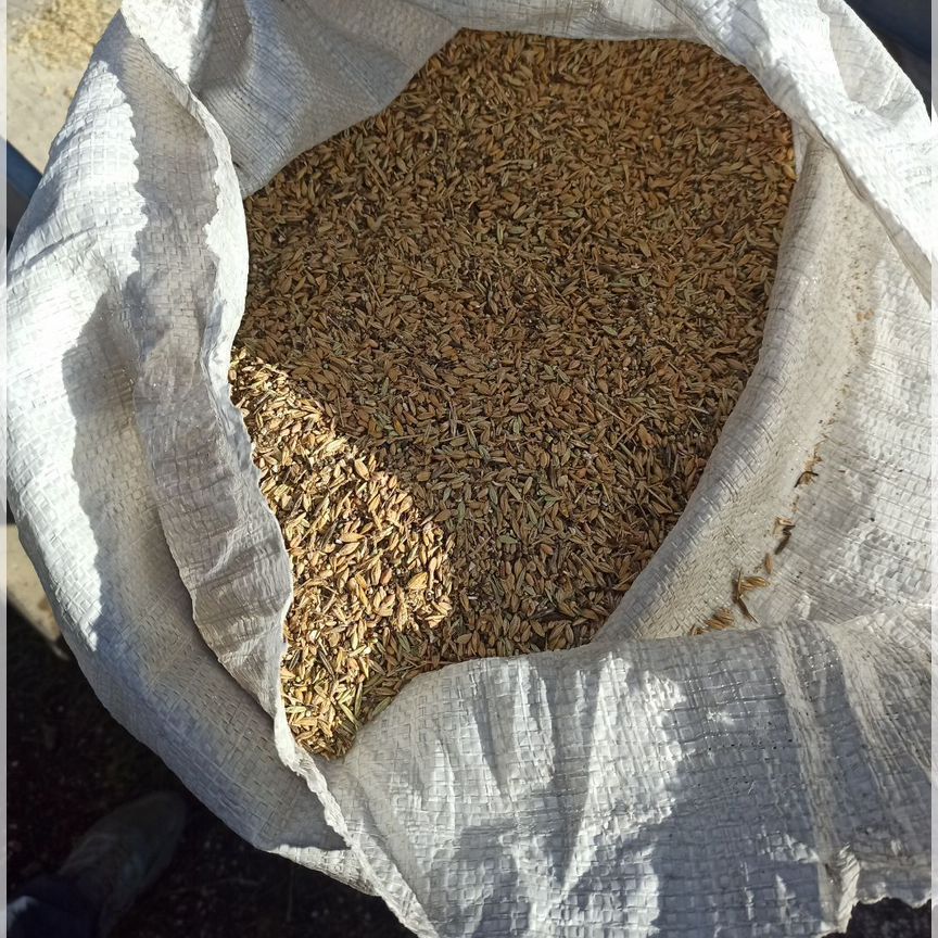 Зерноотходы 1 категории