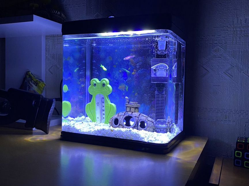 Продам Аквариум с рыбками