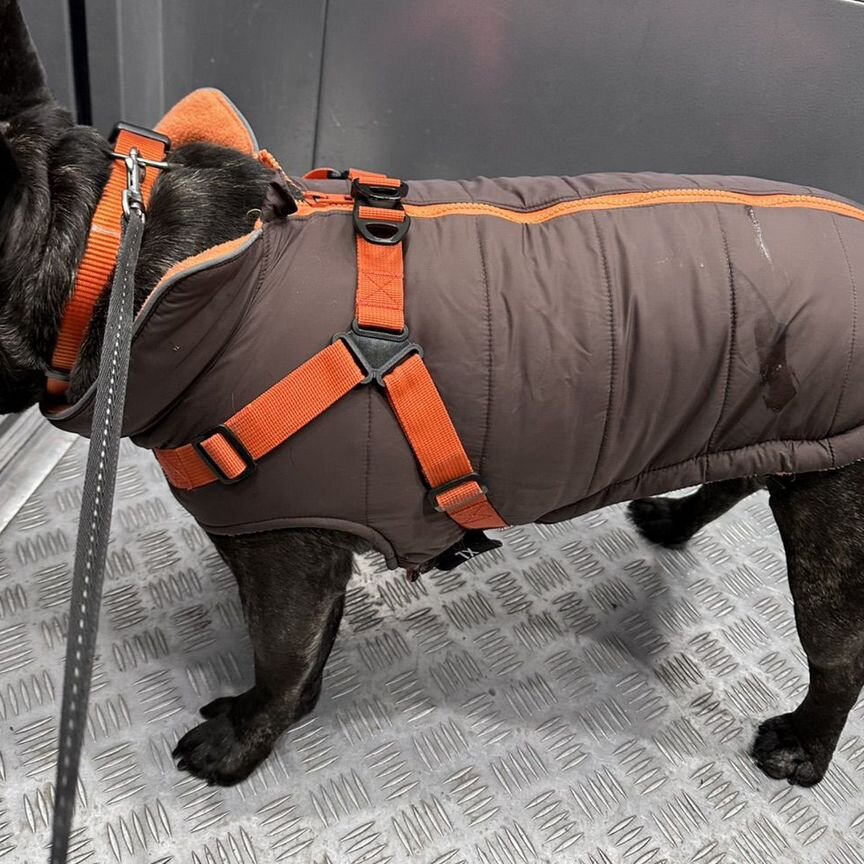 Утипленая жилетка для собак