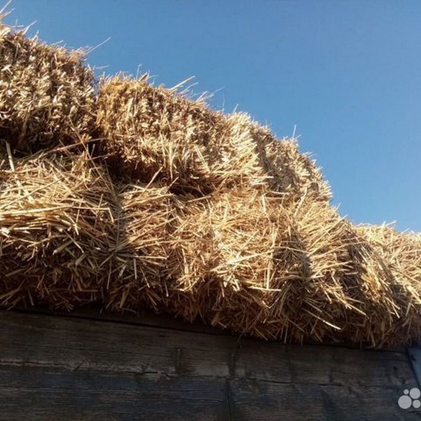 Солома в тюках