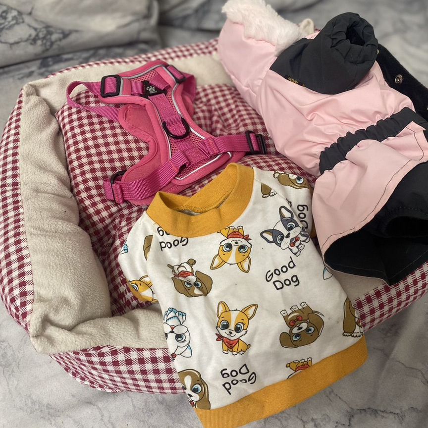 Набор для собаки