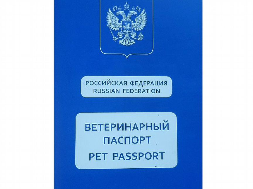 Ветпаспорта номерные международные