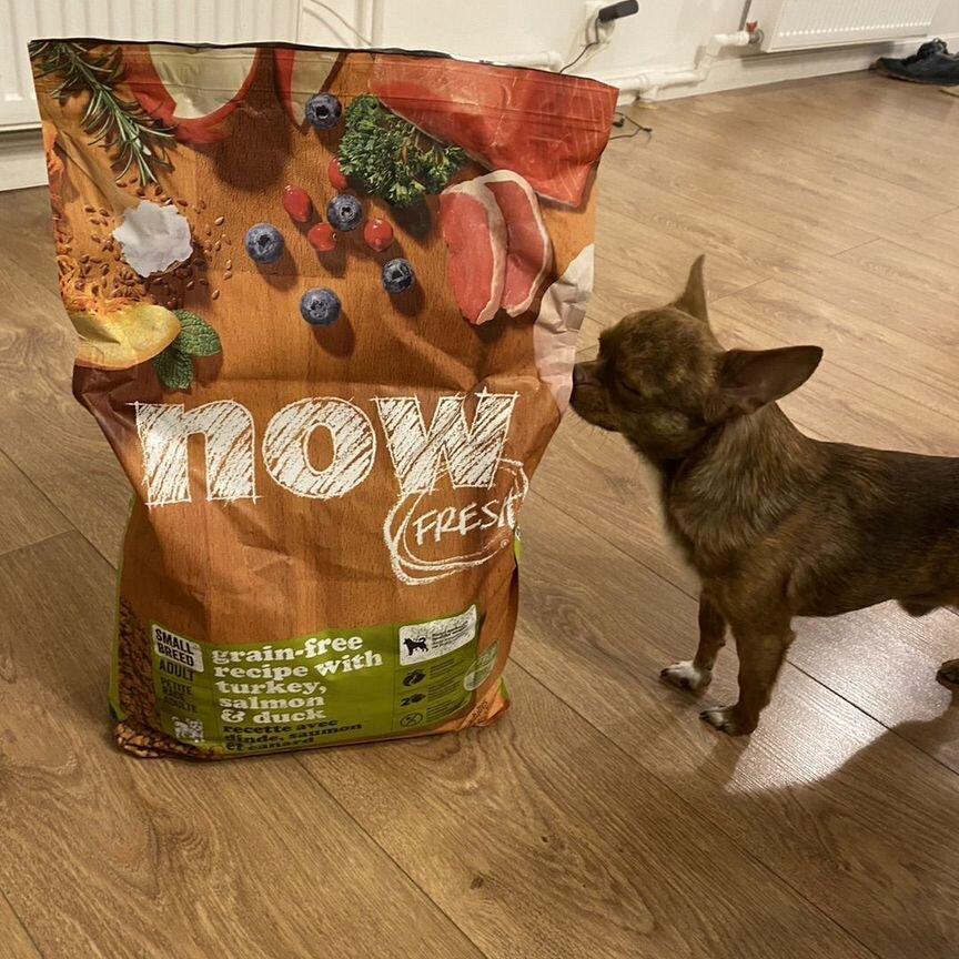 Корм Now Fresh для собак мелких пород