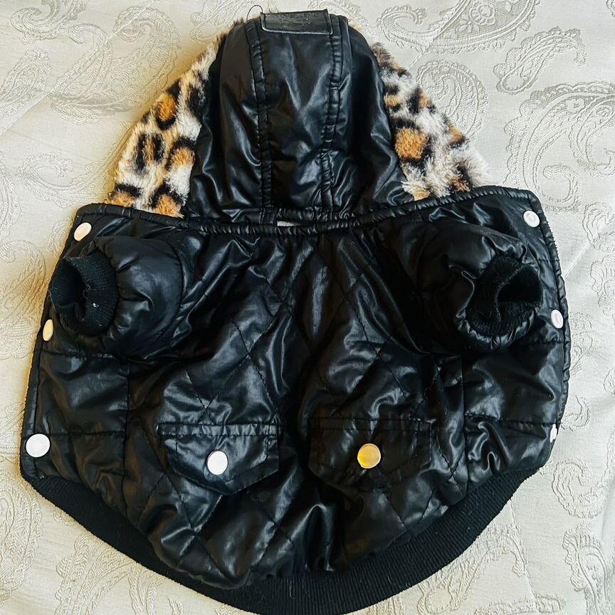 Одежда для собак