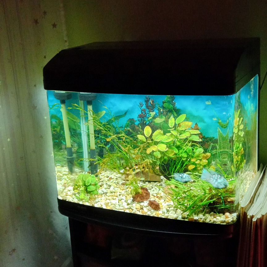 Аквариум Atman AR-F620, 105л