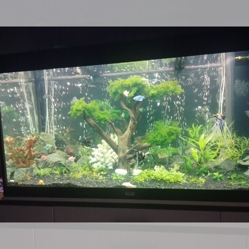 Украшение для аквариума