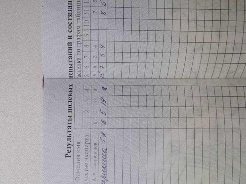 Щенки русской гончей