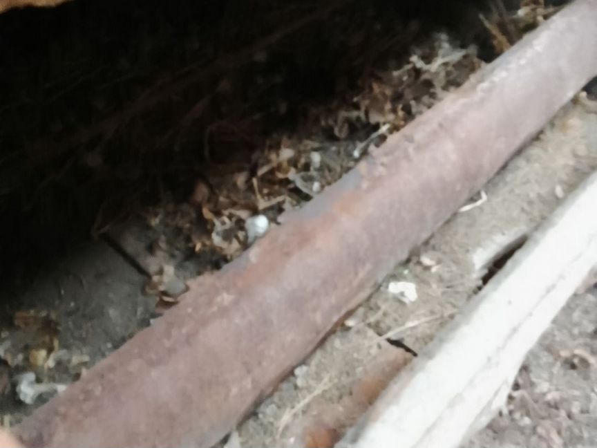 Кормушка и клетка